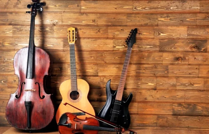 5 Types Of String Instruments Explained With Examples