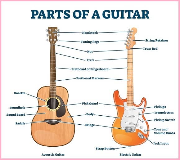 Electric Guitar Anatomy: A Complete Breakdown Of Internal Parts